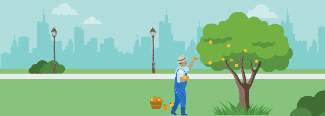 How to Improve Customer Experience in Your Organization